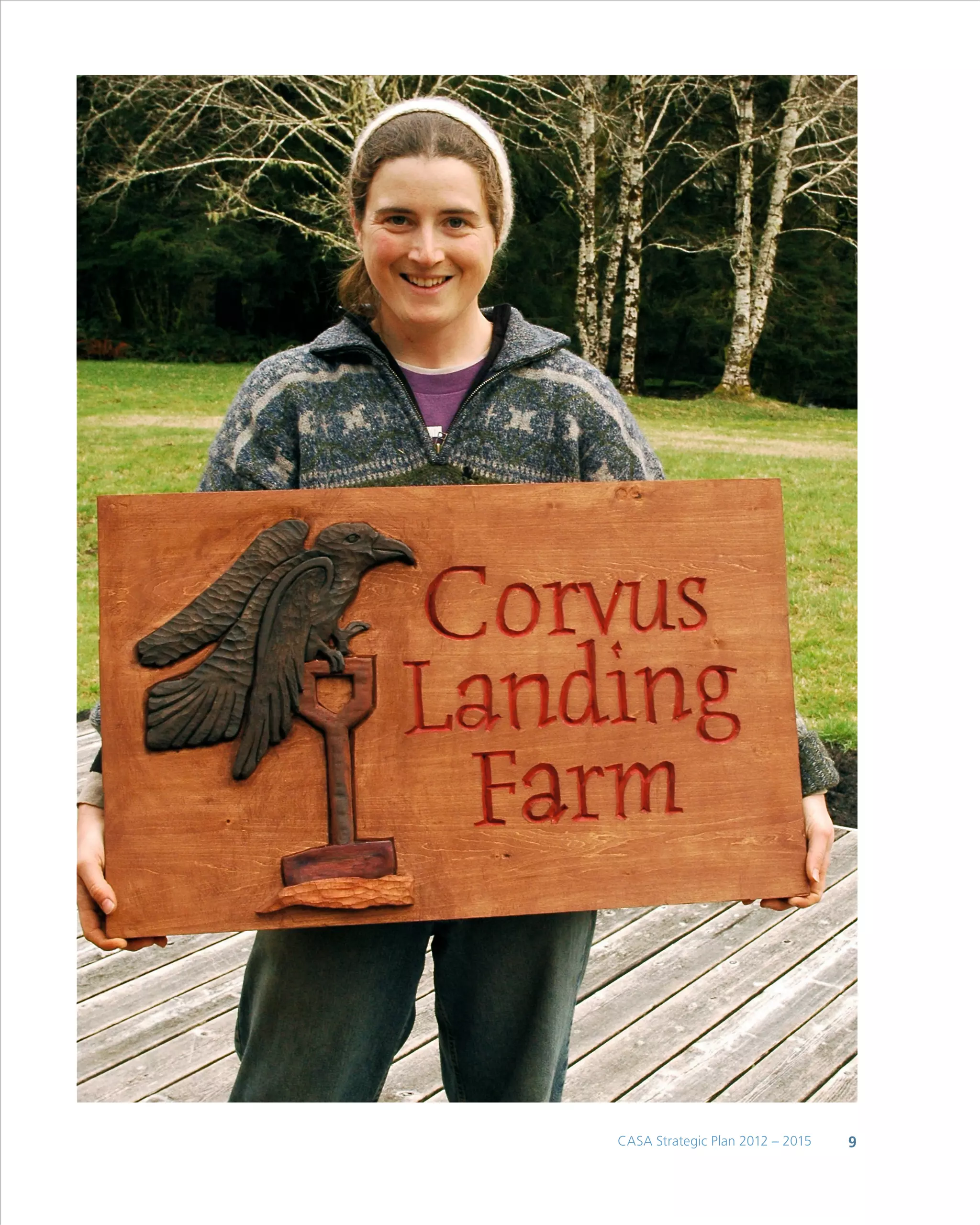 B7 business planning casa strategic plan 2012-2015 | PDF