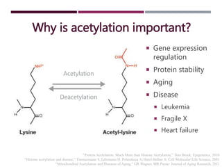 Thesis Presentation | PPT