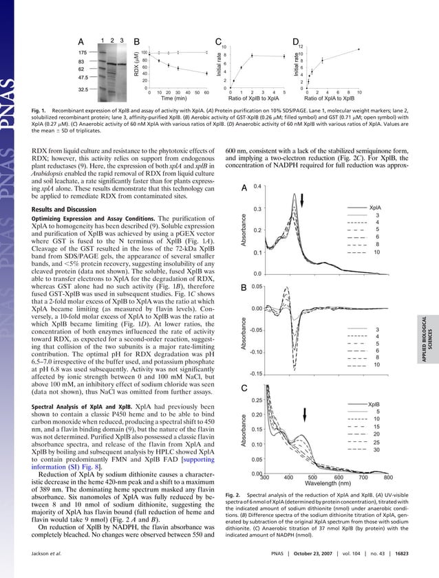 PNAS paper 2007 | PDF