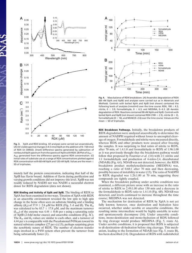 PNAS paper 2007 | PDF