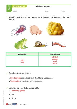 B7c9cb89 cdcf-4ee4-9d0e-b6c51853d8ab | PDF | Reptiles | Pets