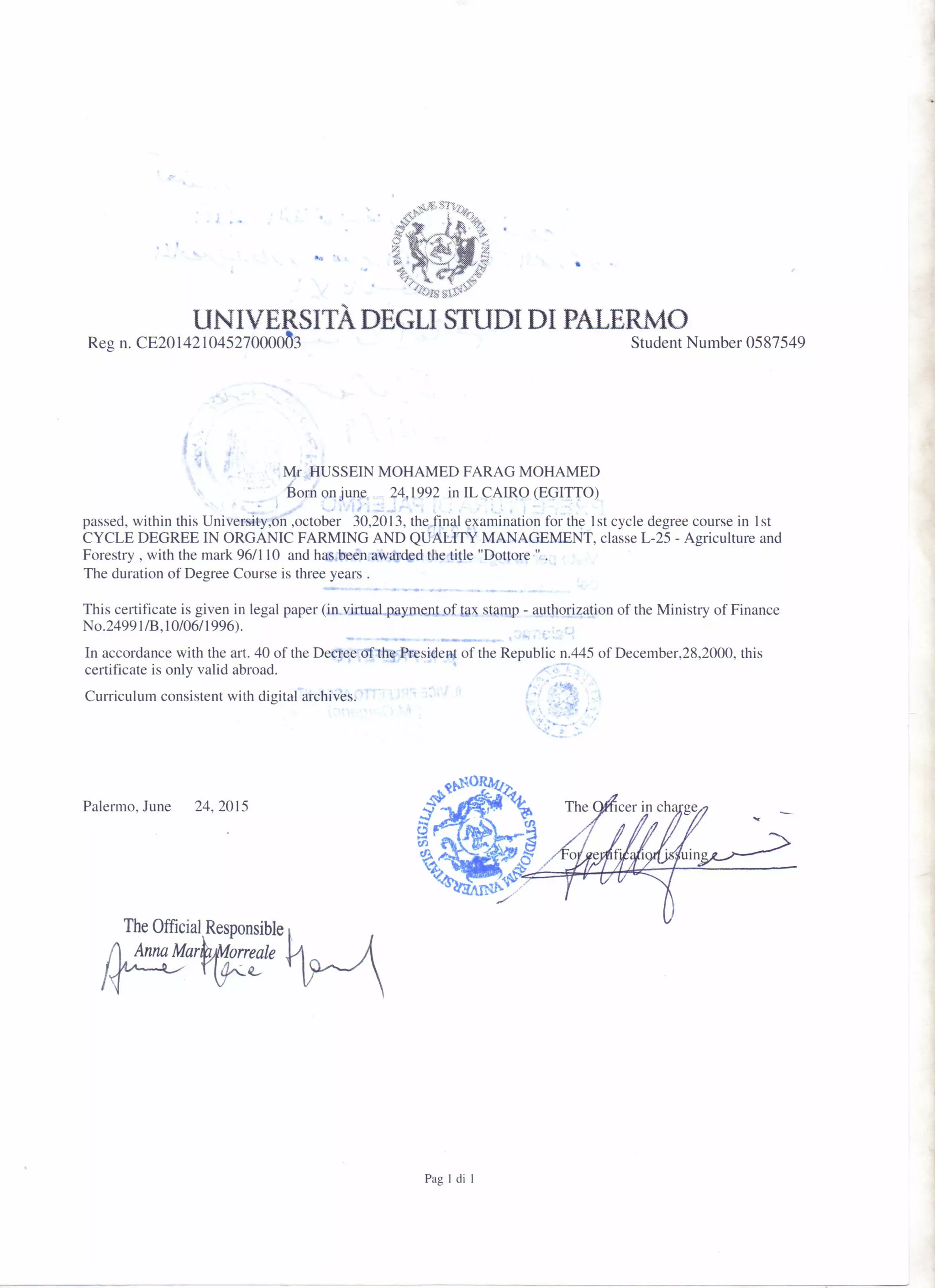 certificate of graduation (bachelor) | PDF