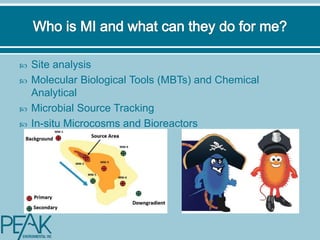 2013-04-09 microbial insights | PPTX