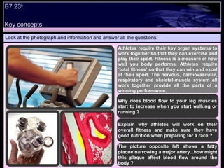 B7 lesson part four | PPT