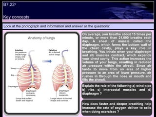 B7 lesson part four | PPT