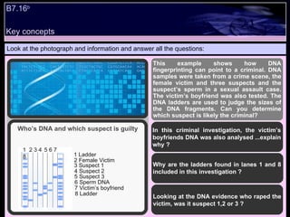 B7 lesson part three | PPT