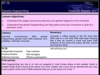 B7 lesson part three | PPT