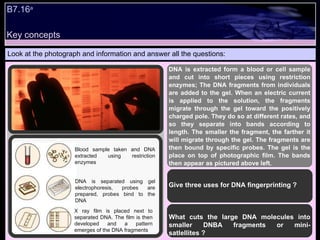 B7 lesson part three | PPT