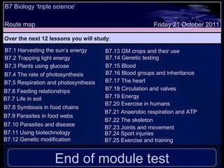 B7 lesson part two | PPT