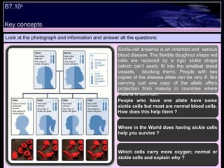 B7 lesson part two | PPT