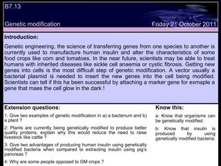 B7 lesson part two | PPT