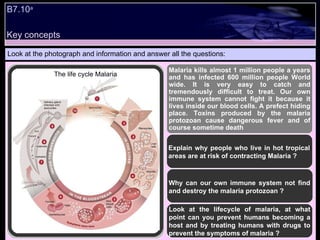 B7 lesson part two | PPT