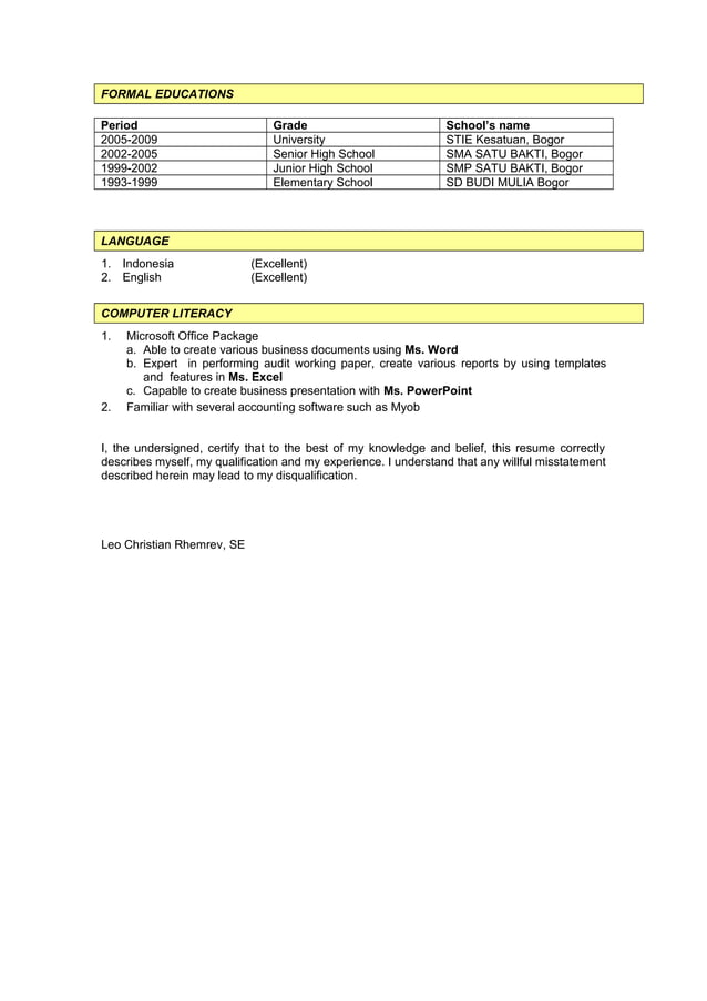 Curriculum Vitae Leo | DOC | Business Accounting & Finance | Business