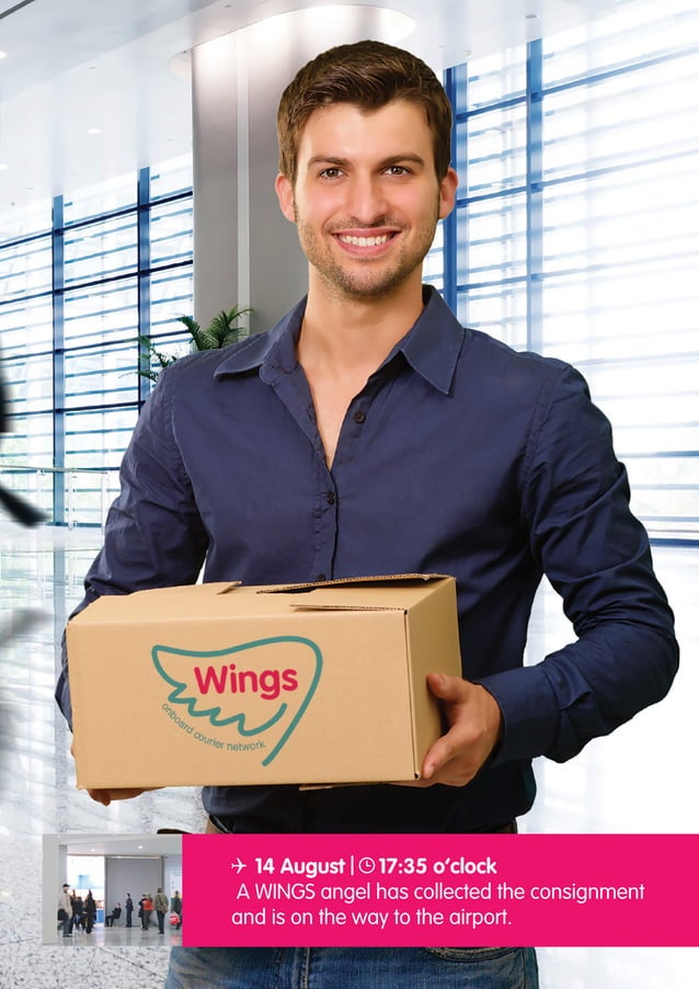 Wings brochure website | PDF | Air Travel | Travel Type