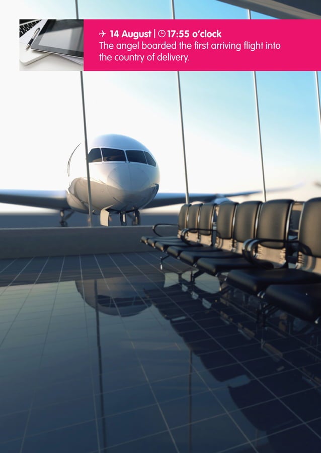 Wings brochure website | PDF | Air Travel | Travel Type