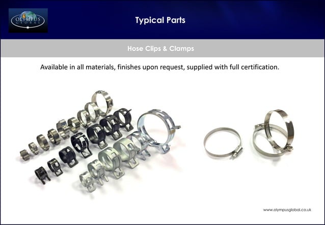 Olympus Global Introduction | PPT