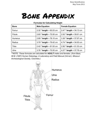 BoneIdentificationLab | PDF