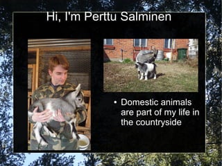 Perttu | ODP