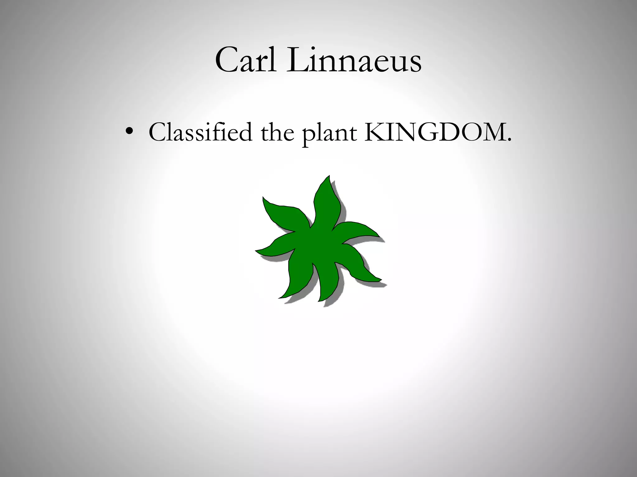 Plant kingdom | PPTX