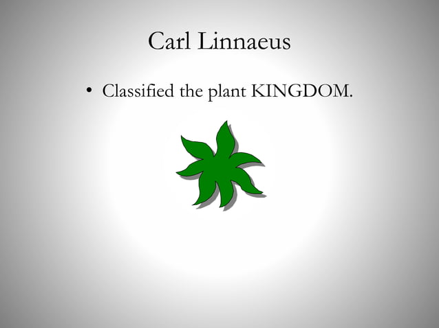 Plant kingdom | PPT