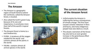 Rainforests | PPT