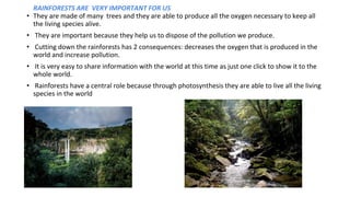 Rainforests | PPT