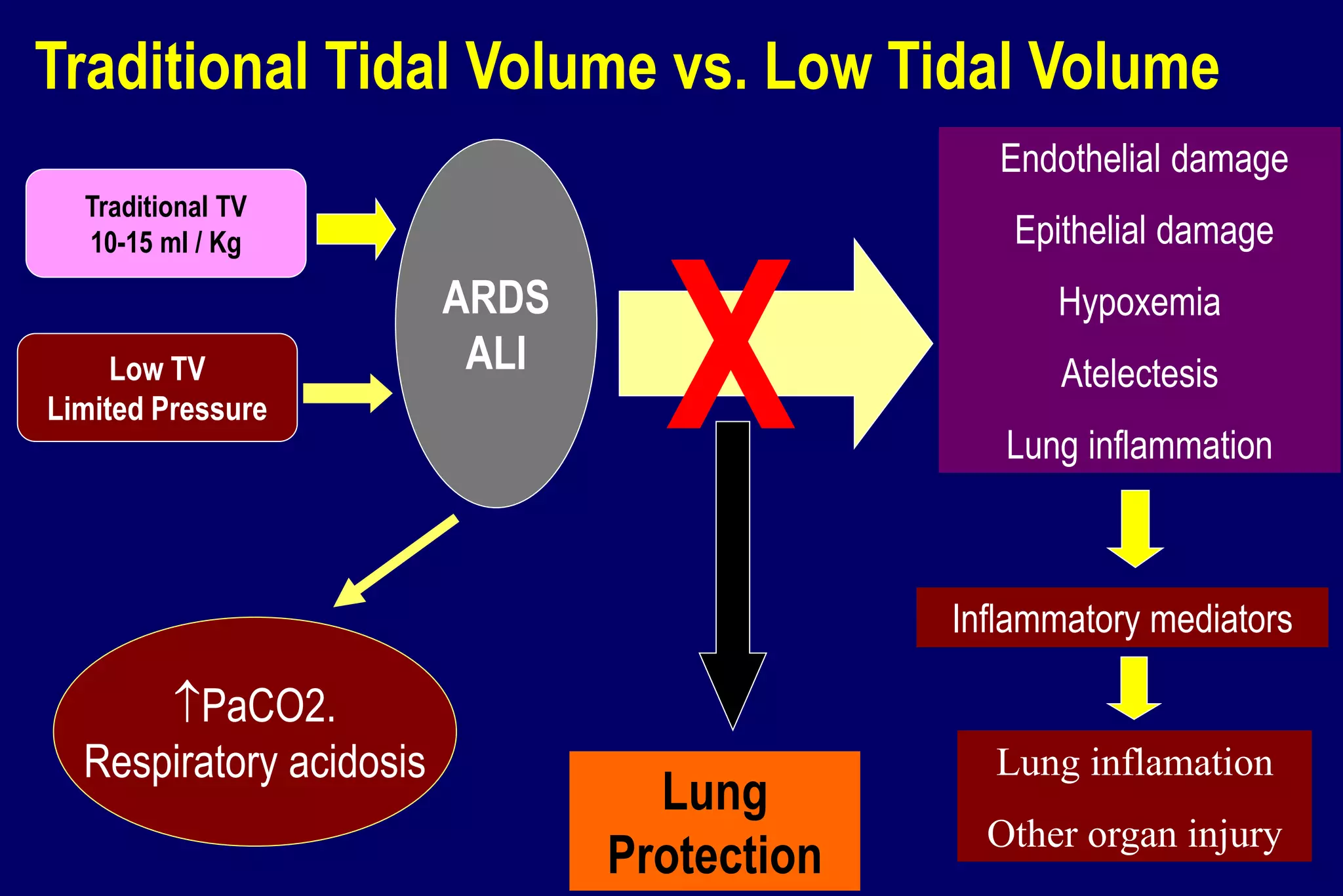 03_Acute_Lung_Injury_and_ARDS_dr._divatia.ppt