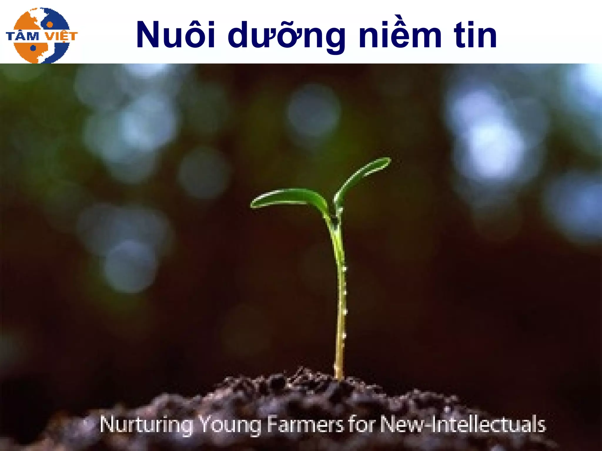 B8.The Power Of Imagination | PPT