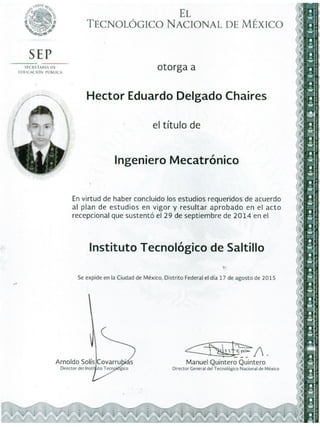Degree Hector Delgado | PDF
