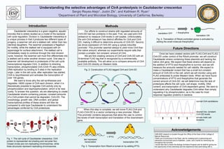 CtrA Stability Poster (Final) | PPTX
