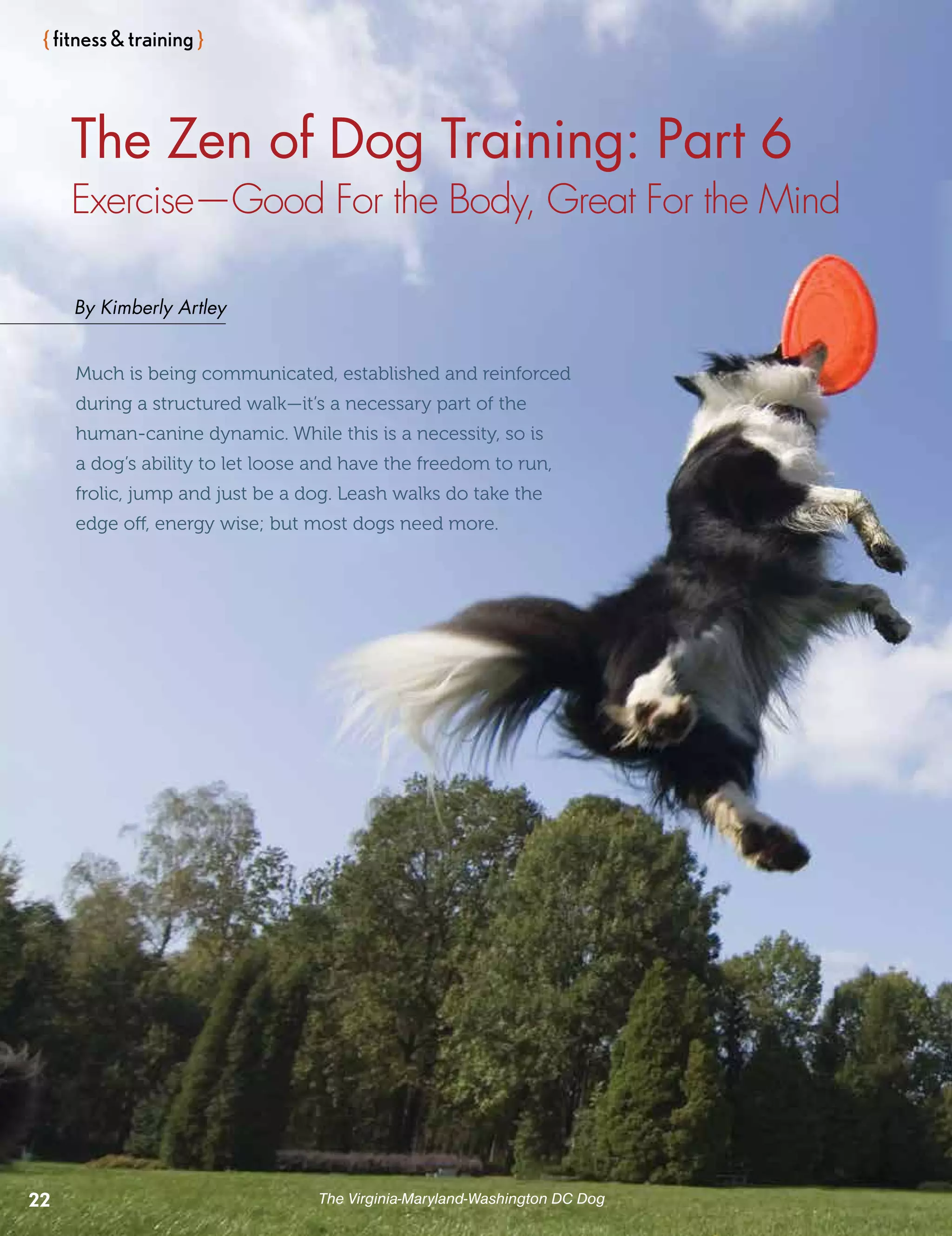 the zen of dog training part 6 | PDF