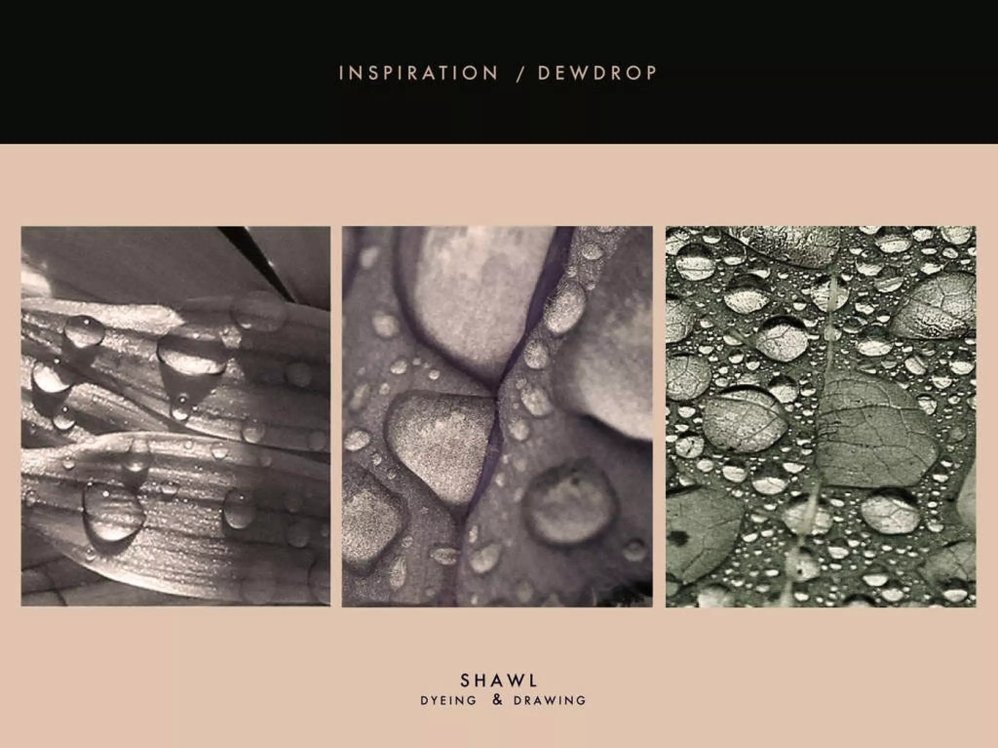 Textile Design + Dyeing Project Proposal 1 | PPT