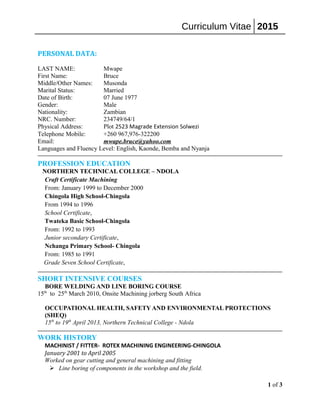 CV Bruce Mwape | PDF