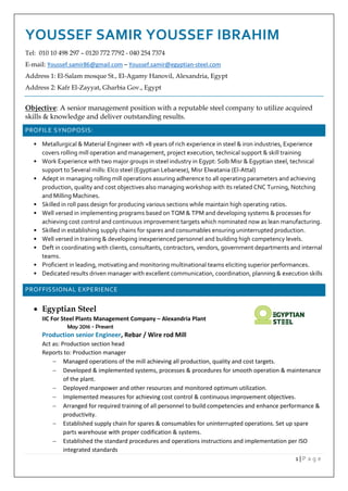 Youssef Samir Youssef Ibrahim | PDF