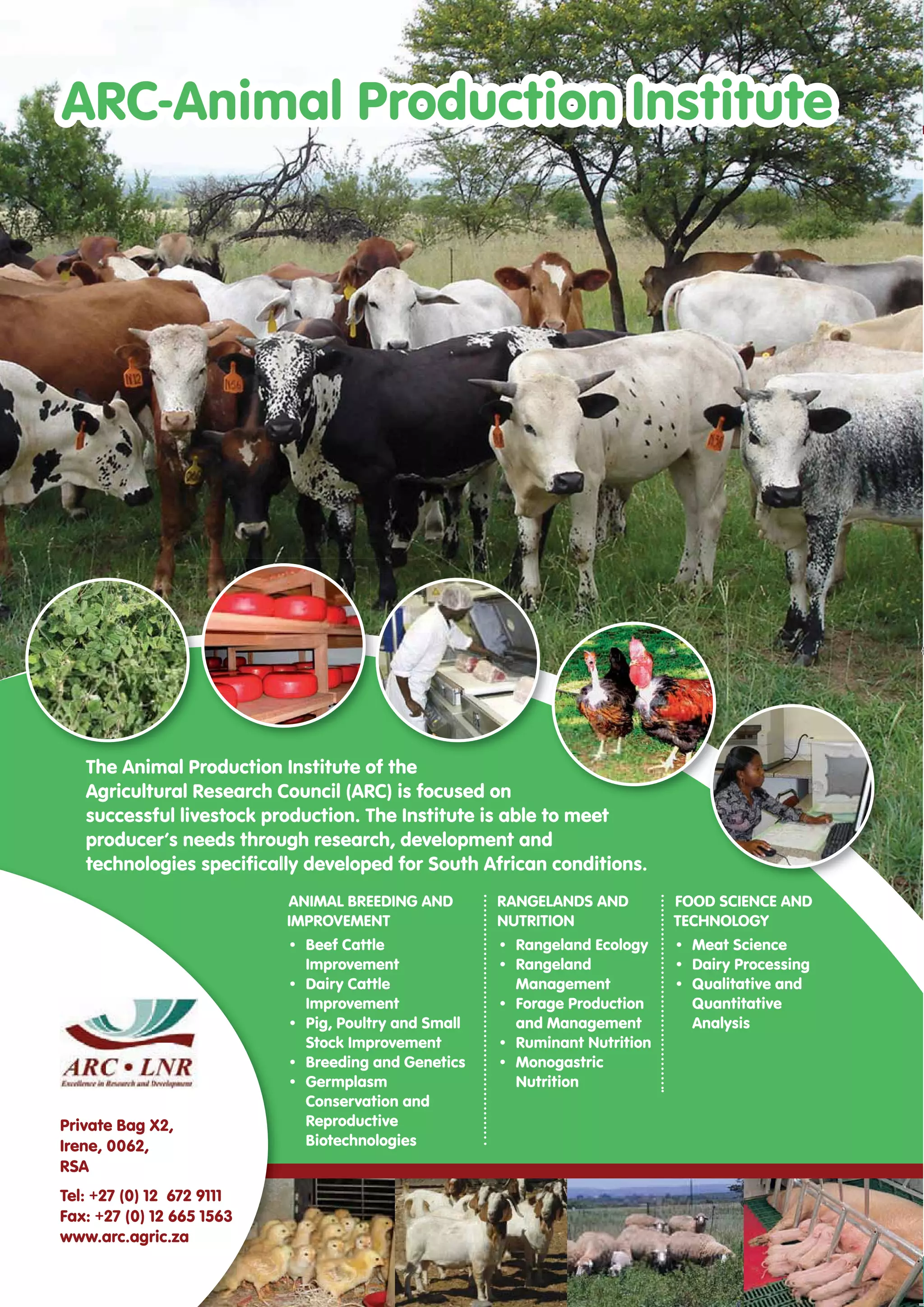 ARC Annual Beef Bulletin - 2016 | PDF