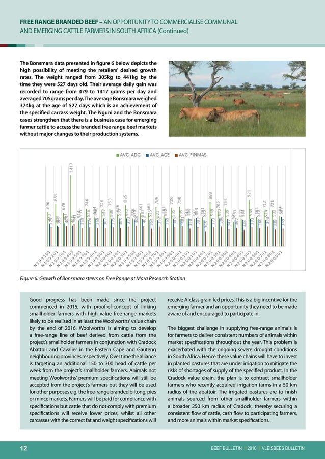 ARC Annual Beef Bulletin - 2016 | PDF