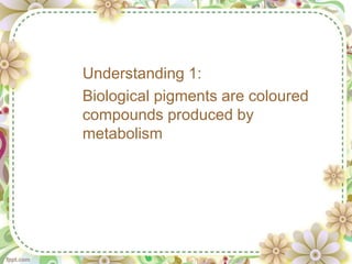 Option B.9 Biological Pigments | PPT