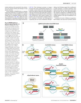 The new frontier of genome engineering | PDF