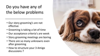 SHE QC ideation, a story grooming technique | PDF