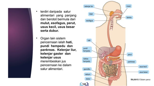 B9 Nutrisi dan Sistem Pencernaan Manusia.pptx