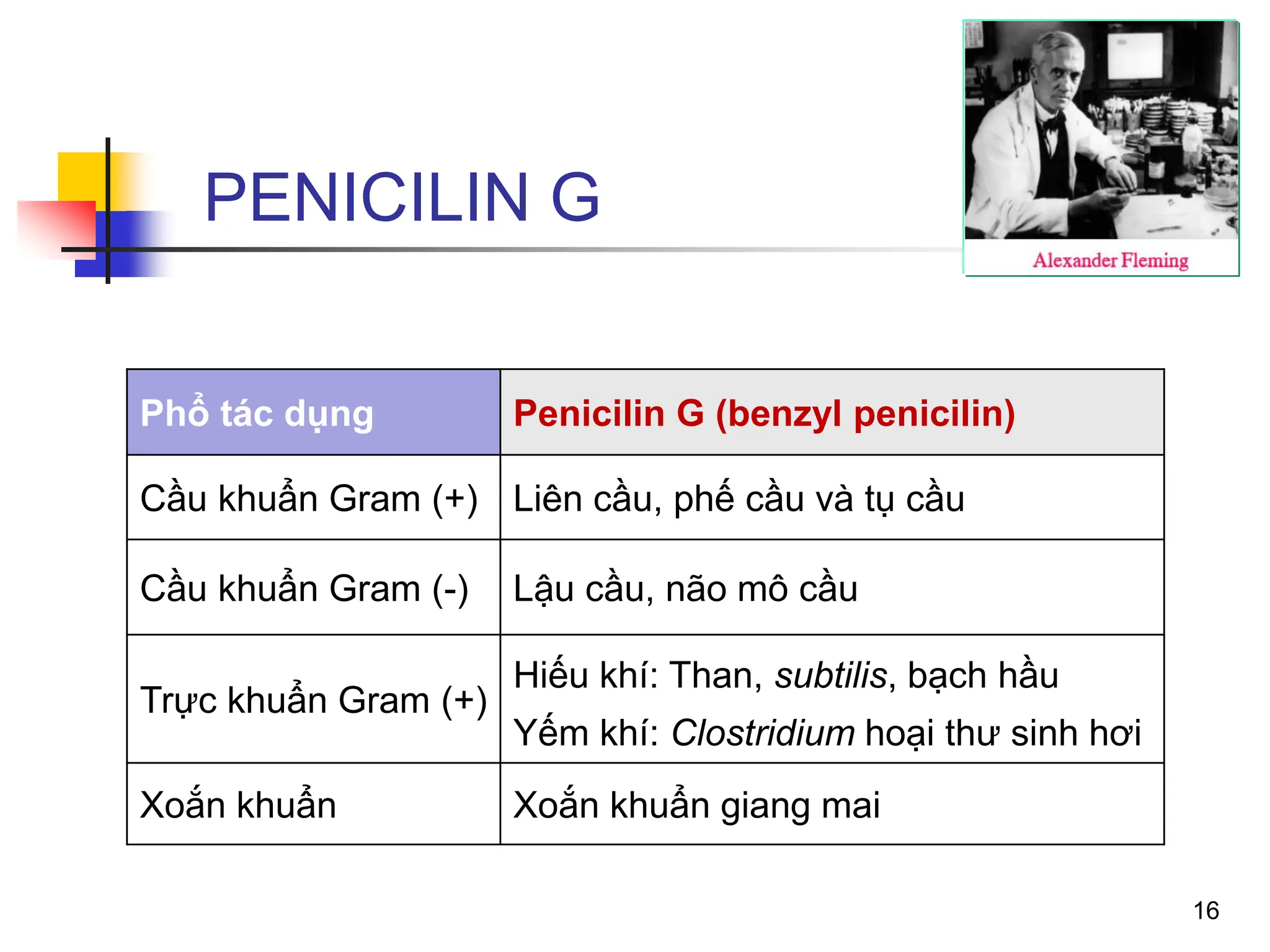 B9 THUỐC KHÁNG SINH.pdf cần bác sĩ đọc nhiều | PDF