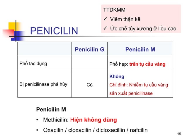 B9 THUỐC KHÁNG SINH.pdf cần bác sĩ đọc nhiều | PDF