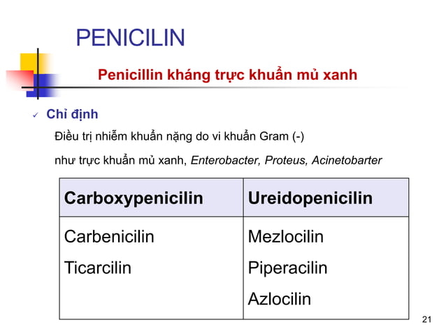 B9 THUỐC KHÁNG SINH.pdf cần bác sĩ đọc nhiều | PDF
