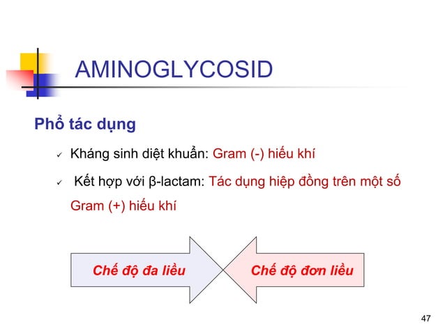 B9 THUỐC KHÁNG SINH.pdf cần bác sĩ đọc nhiều | PDF