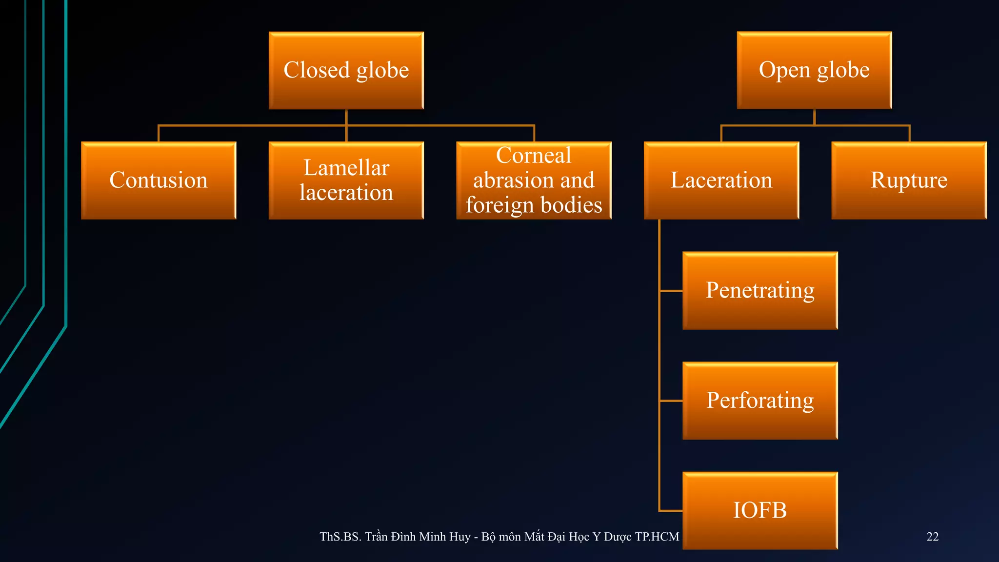 CHẤN THƯƠNG VÀ BỎNG MẮT | PDF