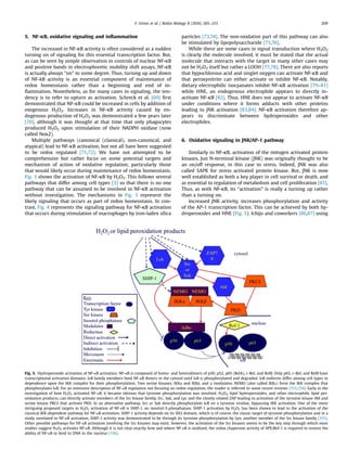 ASEA: The Biology Behind Redox Cell Signaling.pdf