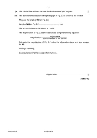 0610 m16 qp_62 | PDF