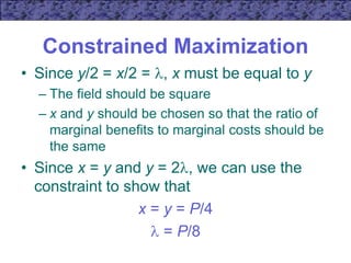 Constrained Maximization | PPT