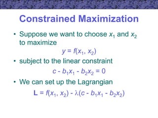 Constrained Maximization | PPT
