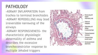 Bronchial asthma and Chronic Obstructive Pulmonary disease.pptx